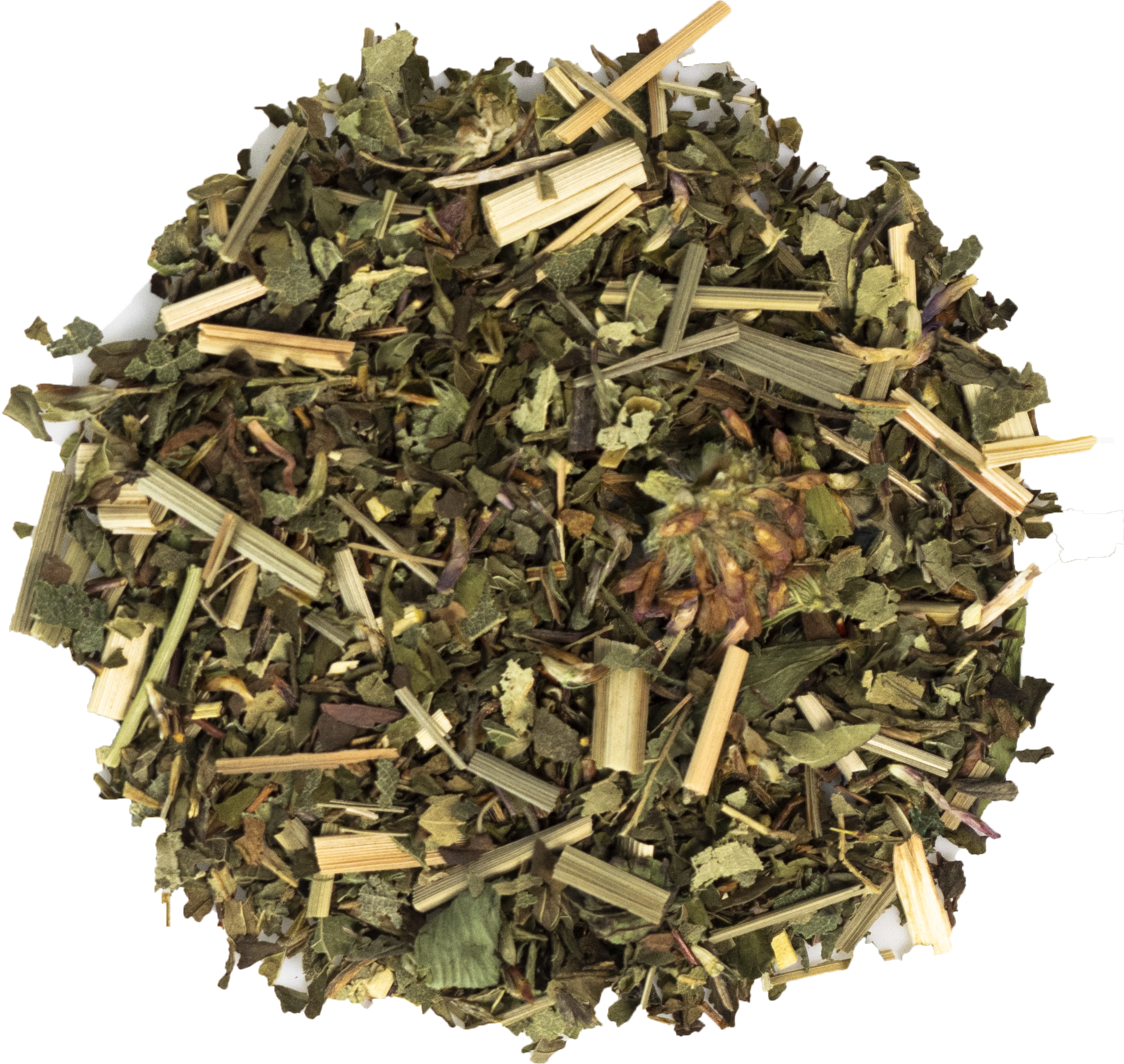 Mastodon Mint Herbal Tea | Refreshing Michigan Mint Loose Leaf | STEAP